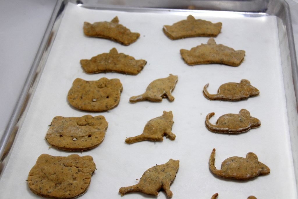 Toria's Catnip Cookies for Aristo-cats - Cinnamon and Sugar