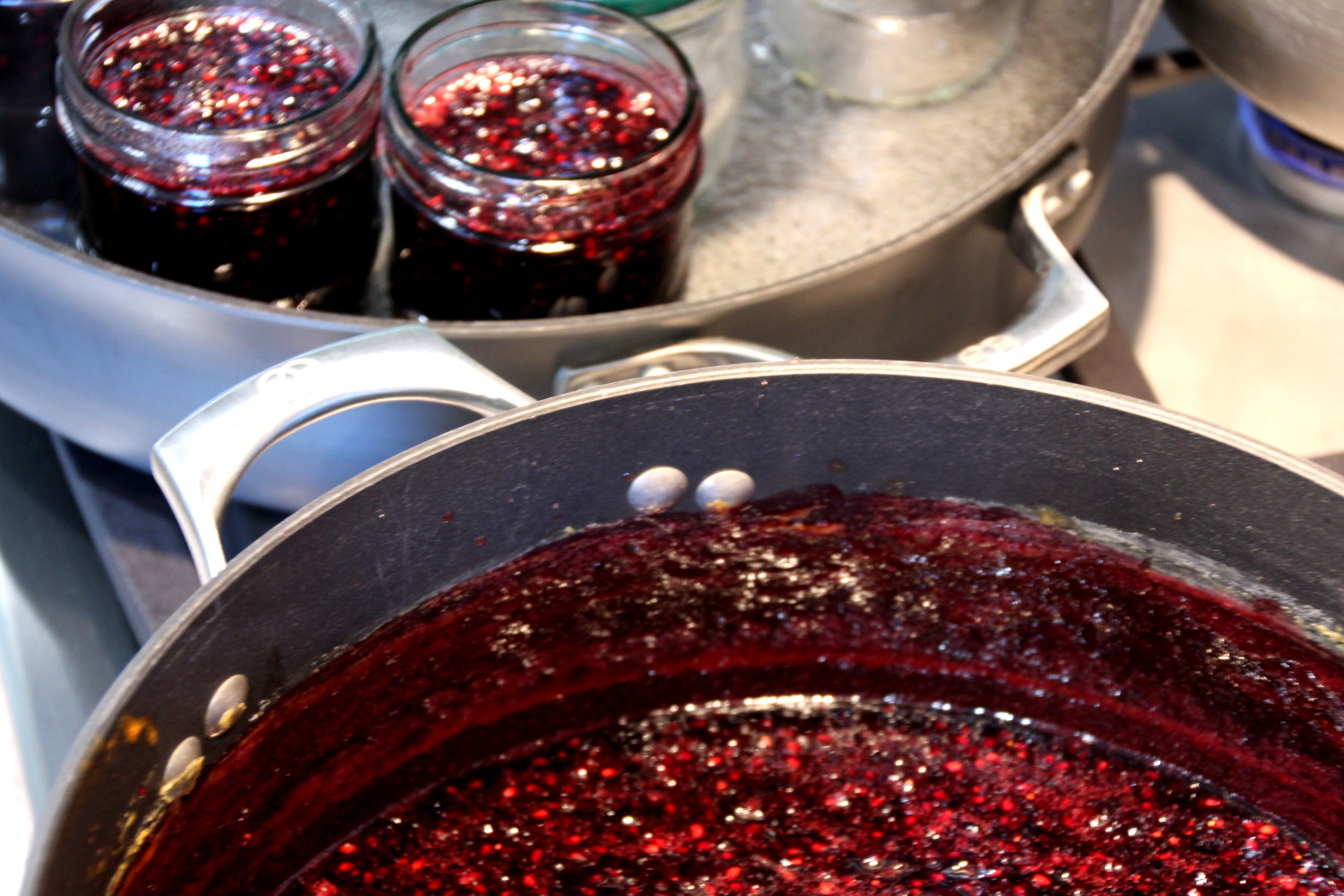 Wild Blackberry Jam with Biscuits - Cinnamon and Sugar