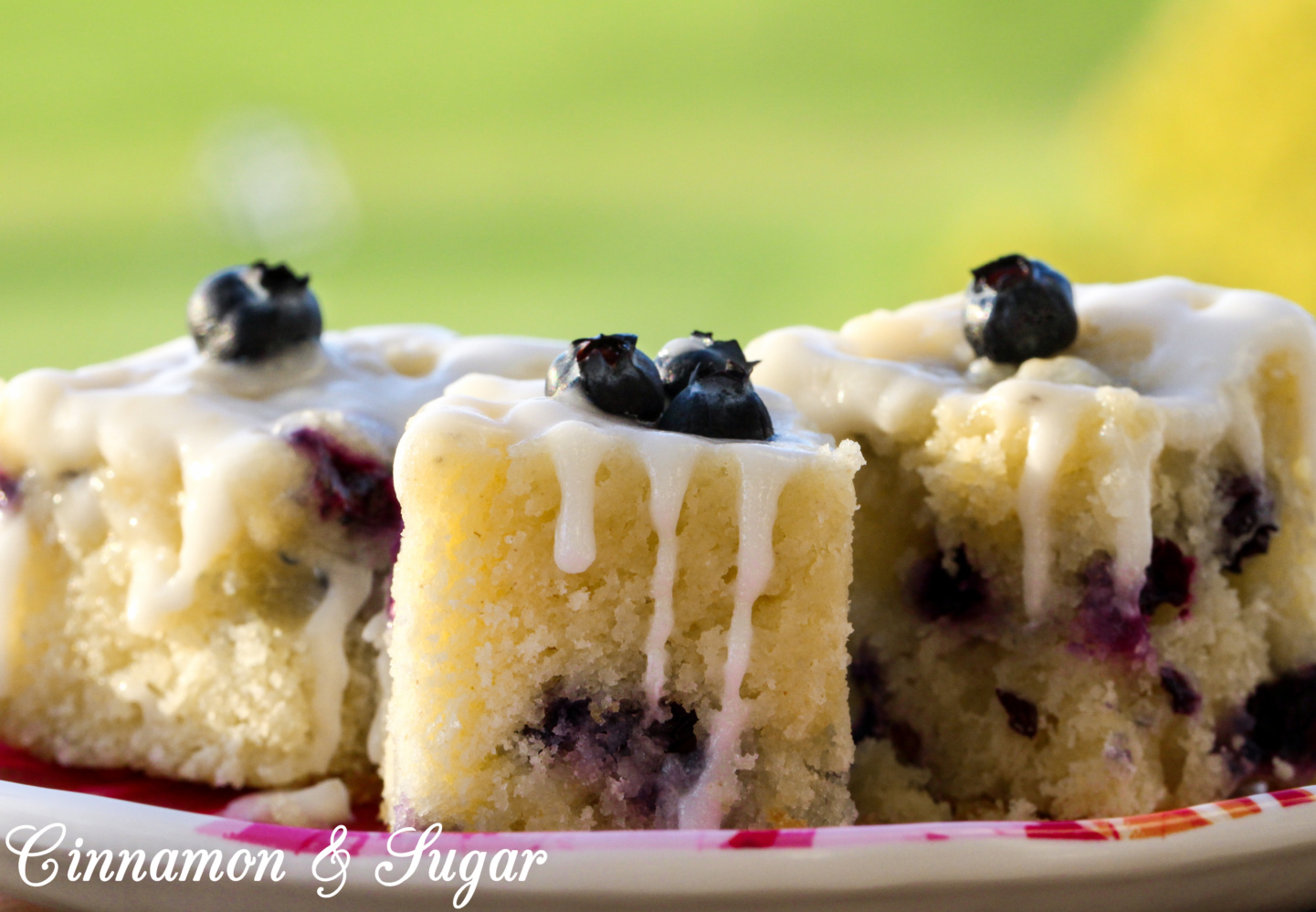 Blueberry Muffin Bars - Cinnamon and Sugar