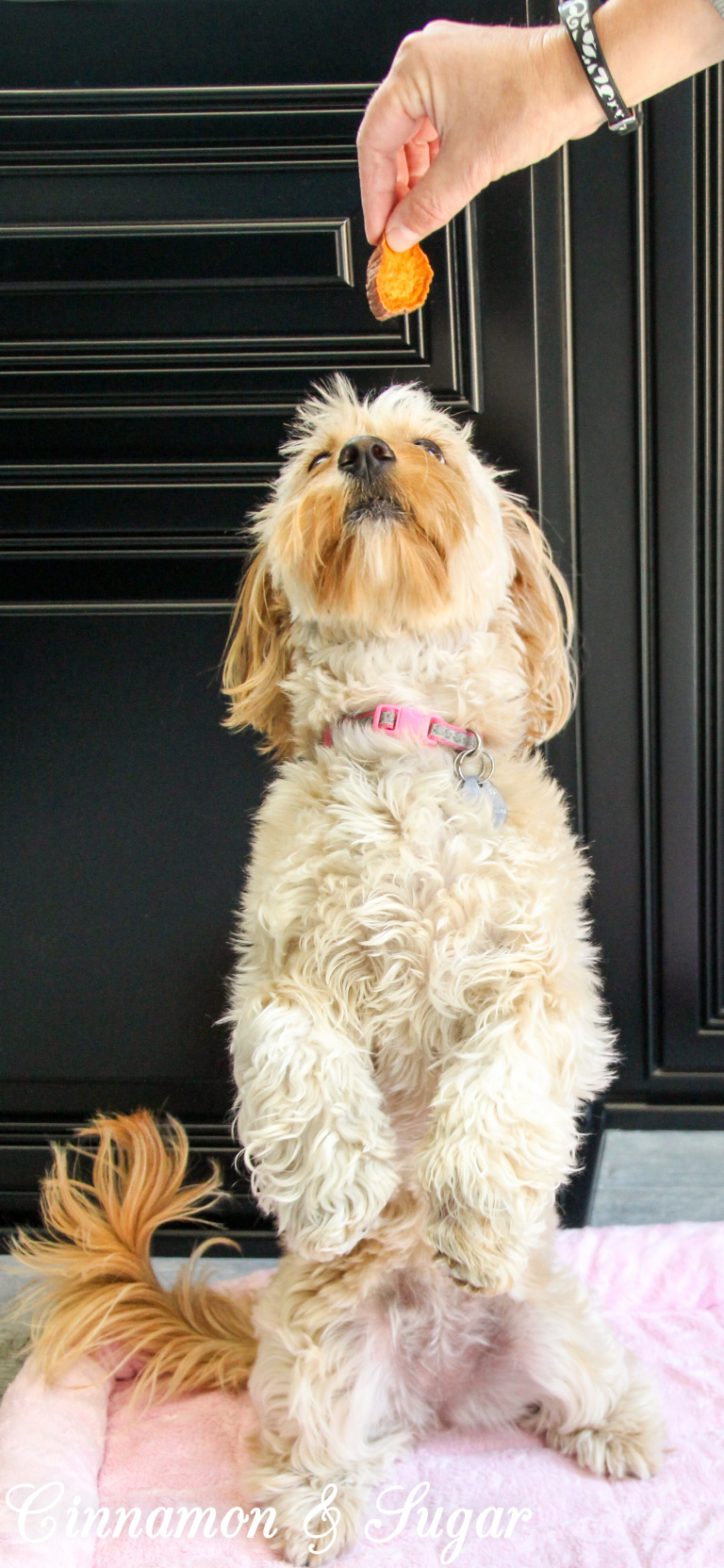 Toss Across Sweet Potato Chip Dog Treats - Cinnamon and Sugar