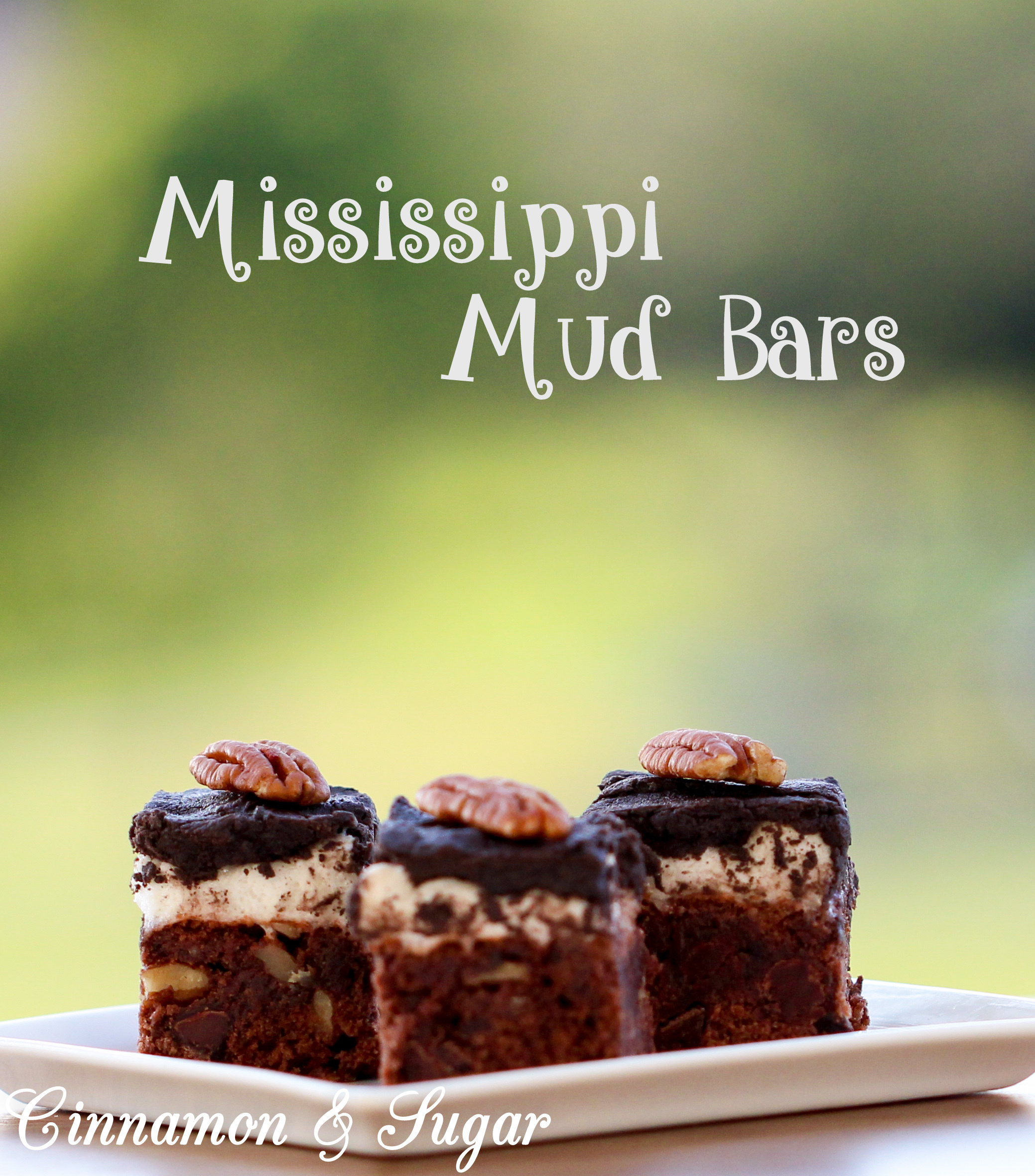 Anne's Mississippi Mud Bites - Cinnamon and Sugar