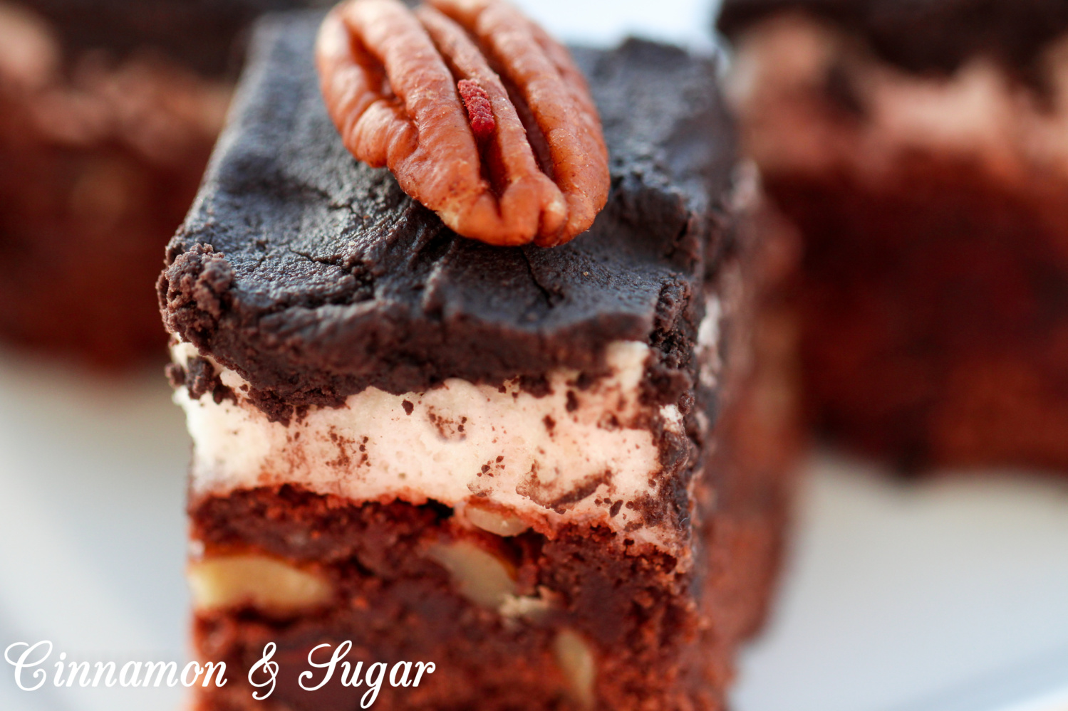 Anne's Mississippi Mud Bites - Cinnamon and Sugar