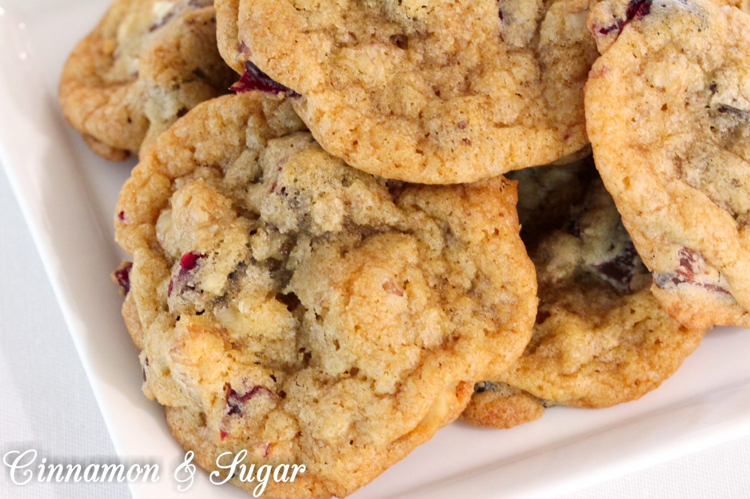 Cranberry Walnut Chocolate Chunk Cookies - Cinnamon and Sugar