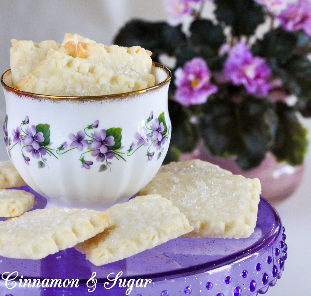 Coconut Sugar Cookies - Cinnamon and Sugar
