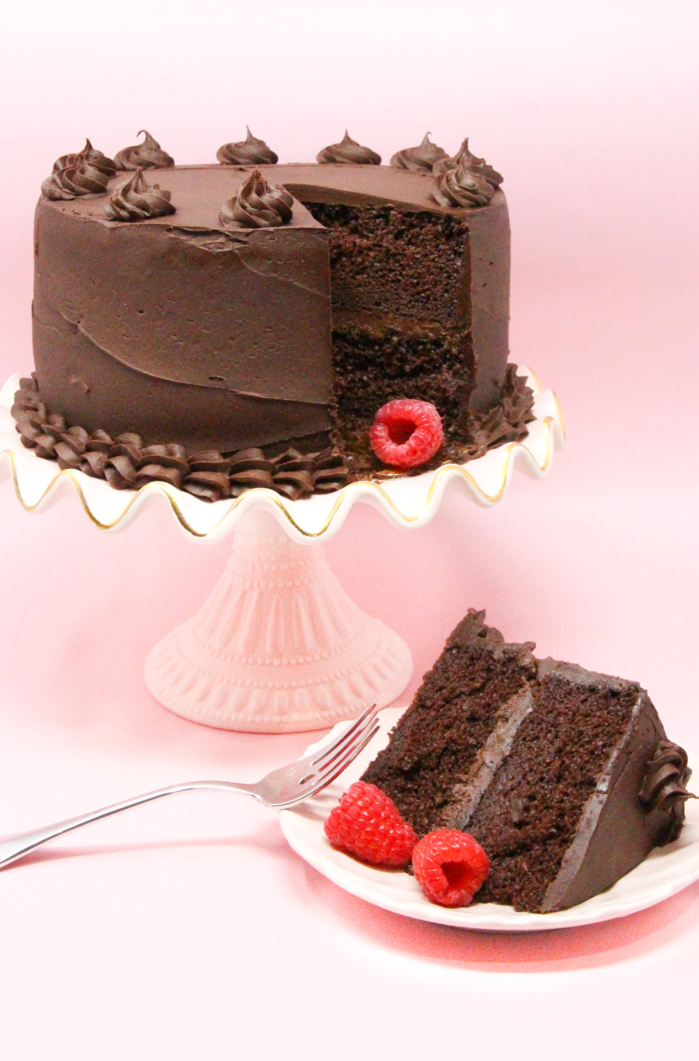 Aunt Ibby's Dark as Night Devil's Food Cake - Cinnamon and Sugar